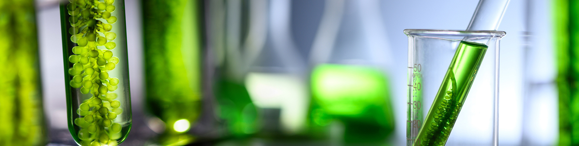 Ecotoxicology & Biodegradability - Eurofins Italia